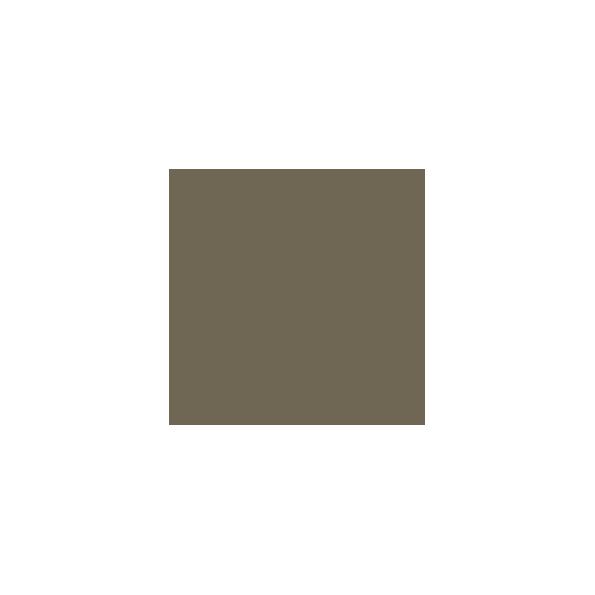 Enduring Bronze SW7055 Paint by Sherwin-Williams - modlar.com