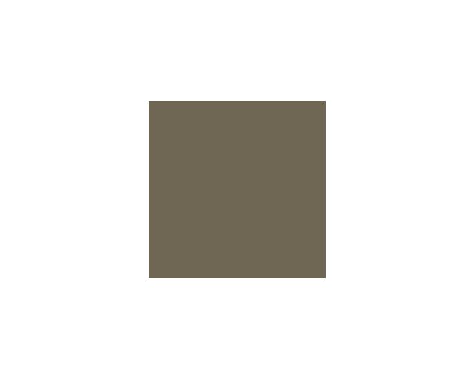 Enduring Bronze SW7055 Paint by Sherwin-Williams - modlar.com