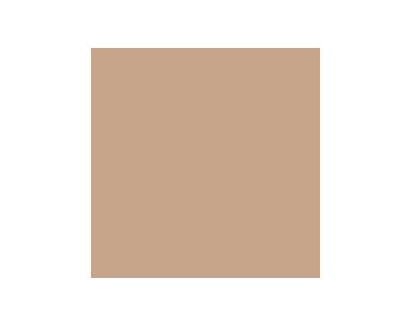 Renwick Rose Beige SW2804 Paint by Sherwin-Williams - modlar.com