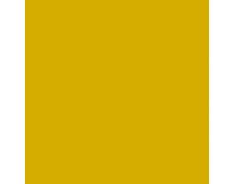 Auric SW6692 Paint by Sherwin-Williams - modlar.com