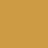Butterscotch SW6377 Paint by Sherwin-Williams - modlar.com