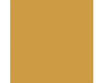 Butterscotch SW6377 Paint by Sherwin-Williams - modlar.com