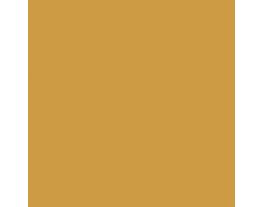 Butterscotch SW6377 Paint by Sherwin-Williams - modlar.com