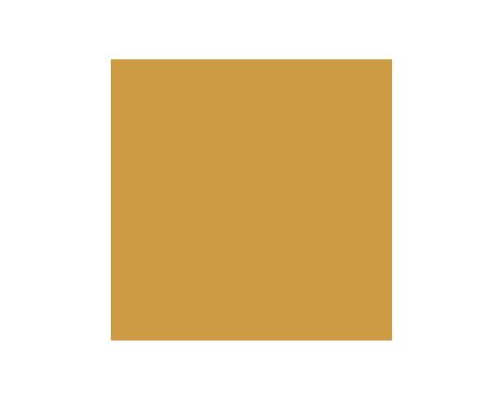 Butterscotch SW6377 Paint by Sherwin-Williams - modlar.com