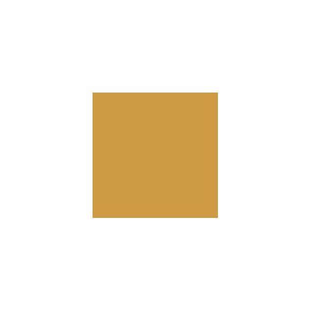 Butterscotch SW6377 Paint by Sherwin-Williams - modlar.com