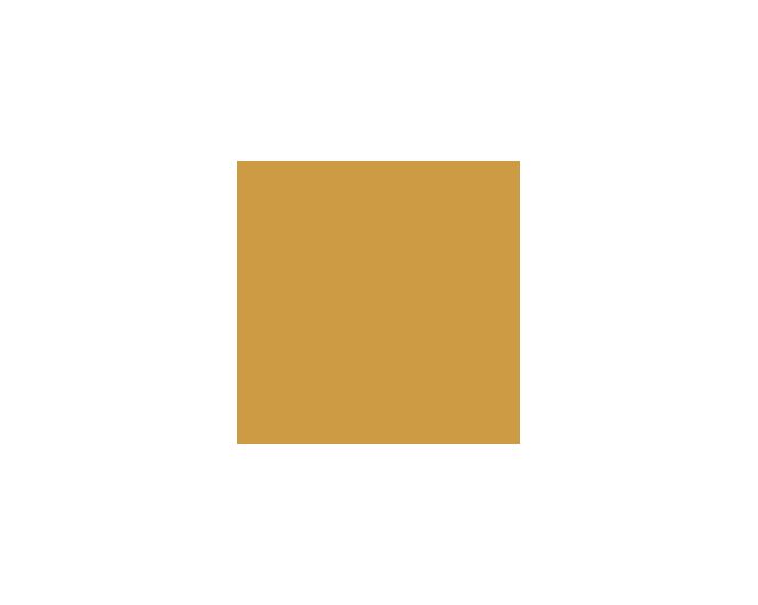 Butterscotch SW6377 Paint by Sherwin-Williams - modlar.com