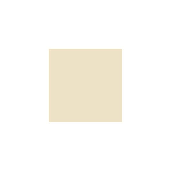 Ivoire SW6127 Paint by Sherwin-Williams - modlar.com