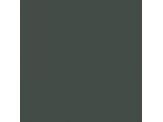 Jasper SW6216 Paint by Sherwin-Williams - modlar.com
