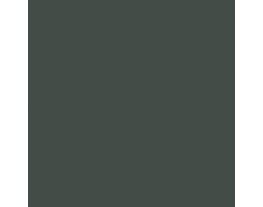 Jasper SW6216 Paint by Sherwin-Williams - modlar.com