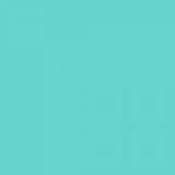 Synergy SW6938 Paint by Sherwin-Williams - modlar.com
