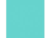 Synergy SW6938 Paint by Sherwin-Williams - modlar.com
