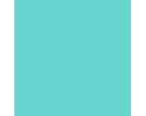 Synergy SW6938 Paint by Sherwin-Williams - modlar.com