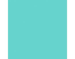 Synergy SW6938 Paint by Sherwin-Williams - modlar.com