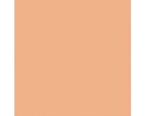 Sunset SW6626 Paint by Sherwin-Williams - modlar.com