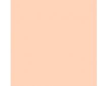 Crewel Tan SW0011 Paint by Sherwin-Williams - modlar.com