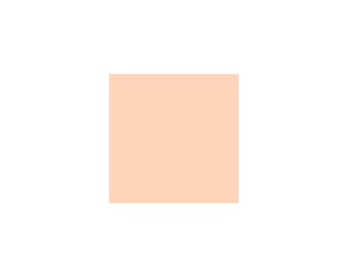 Crewel Tan SW0011 Paint by Sherwin-Williams - modlar.com