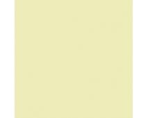 Sole SW6896 Paint by Sherwin-Williams - modlar.com