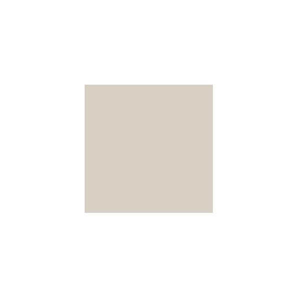 Anew Gray SW7030 Paint by Sherwin-Williams - modlar.com