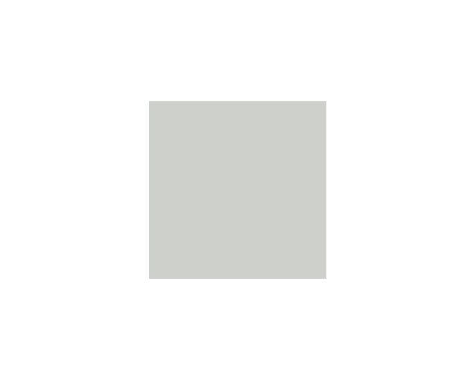 Chelsea Gray SW2850 Paint by Sherwin-Williams - modlar.com