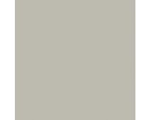 Downing Stone SW2821 Paint by Sherwin-Williams - modlar.com
