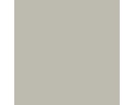 Downing Stone SW2821 Paint by Sherwin-Williams - modlar.com
