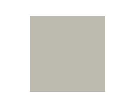 Downing Stone SW2821 Paint by Sherwin-Williams - modlar.com