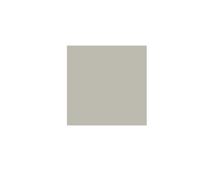 Downing Stone SW2821 Paint by Sherwin-Williams - modlar.com