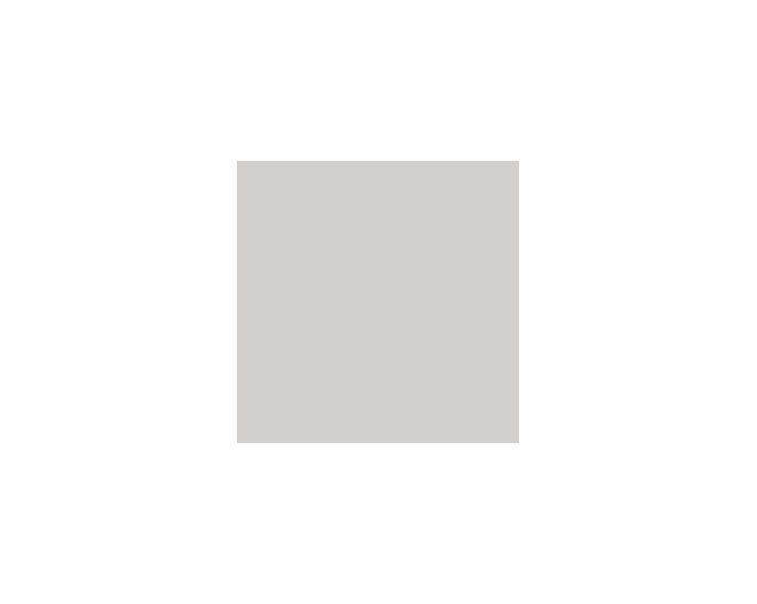 Essential Gray SW6002 Paint by Sherwin-Williams - modlar.com