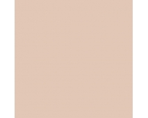 Champagne Wishes: PPG1071-3 - modlar.com