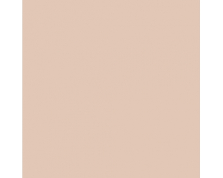Champagne Wishes: PPG1071-3 - modlar.com