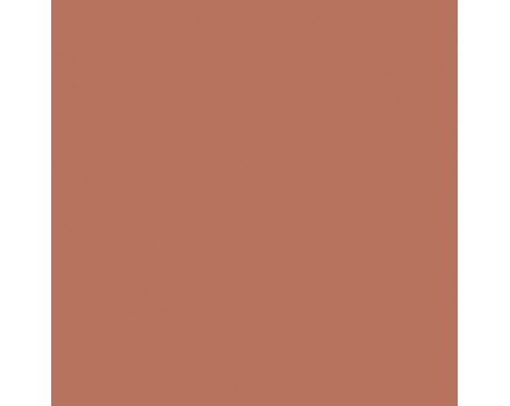 Crushed Cinnamon: PPG1063-6 - modlar.com