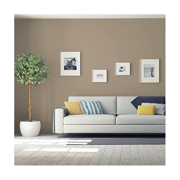 Oyster Shell: PPG14-13 - modlar.com