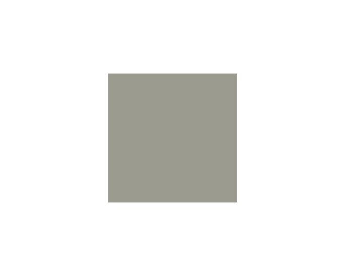 Link Gray SW6200 Paint by Sherwin-Williams - modlar.com