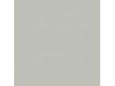 Rare Gray SW6199 Paint by Sherwin-Williams - modlar.com