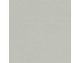 Rare Gray SW6199 Paint by Sherwin-Williams - modlar.com