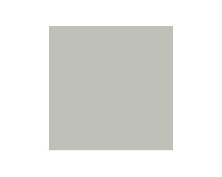 Rare Gray SW6199 Paint by Sherwin-Williams - modlar.com