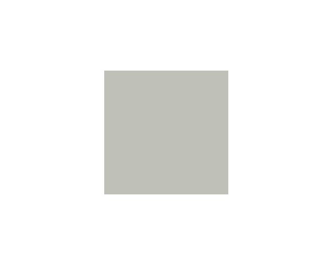 Rare Gray SW6199 Paint by Sherwin-Williams - modlar.com