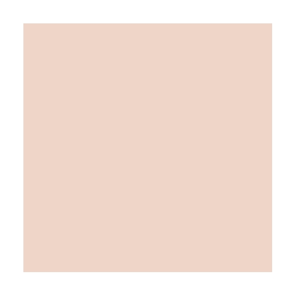 Blush Beige: PPG1070-2 - modlar.com