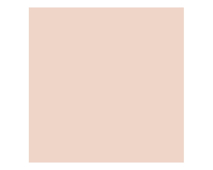 Blush Beige: PPG1070-2 - modlar.com