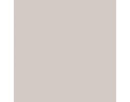 Requisite Gray SW7023 Paint by Sherwin-Williams - modlar.com
