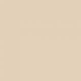 Row House Tan SW7689 Paint by Sherwin-Williams - modlar.com