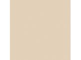 Row House Tan SW7689 Paint by Sherwin-Williams - modlar.com
