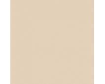Row House Tan SW7689 Paint by Sherwin-Williams - modlar.com