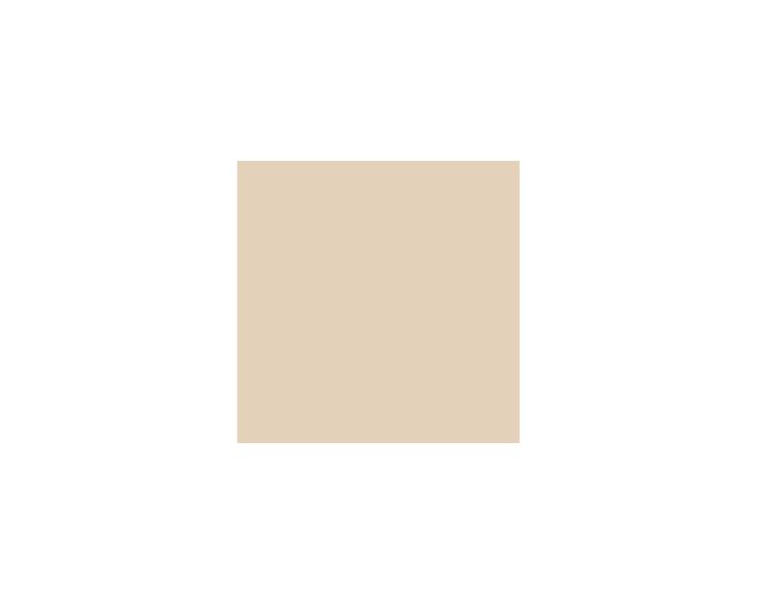 Row House Tan SW7689 Paint by Sherwin-Williams - modlar.com