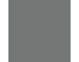 Roycroft Pewter SW2848 Paint by Sherwin-Williams - modlar.com