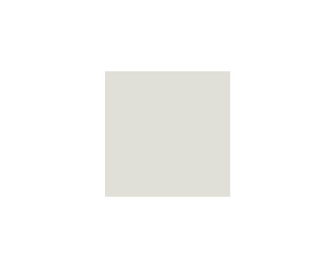 Sedate Gray SW6169 Paint by Sherwin-Williams - modlar.com