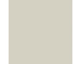 Techno Gray SW6170 Paint by Sherwin-Williams - modlar.com