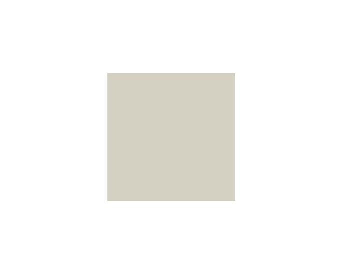 Techno Gray SW6170 Paint by Sherwin-Williams - modlar.com