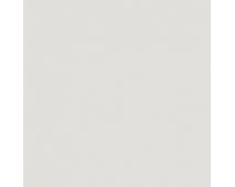 On The Rocks SW7671 Paint by Sherwin-Williams - modlar.com