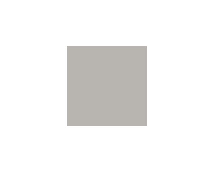 Pewter Cast SW7673 Paint by Sherwin-Williams - modlar.com